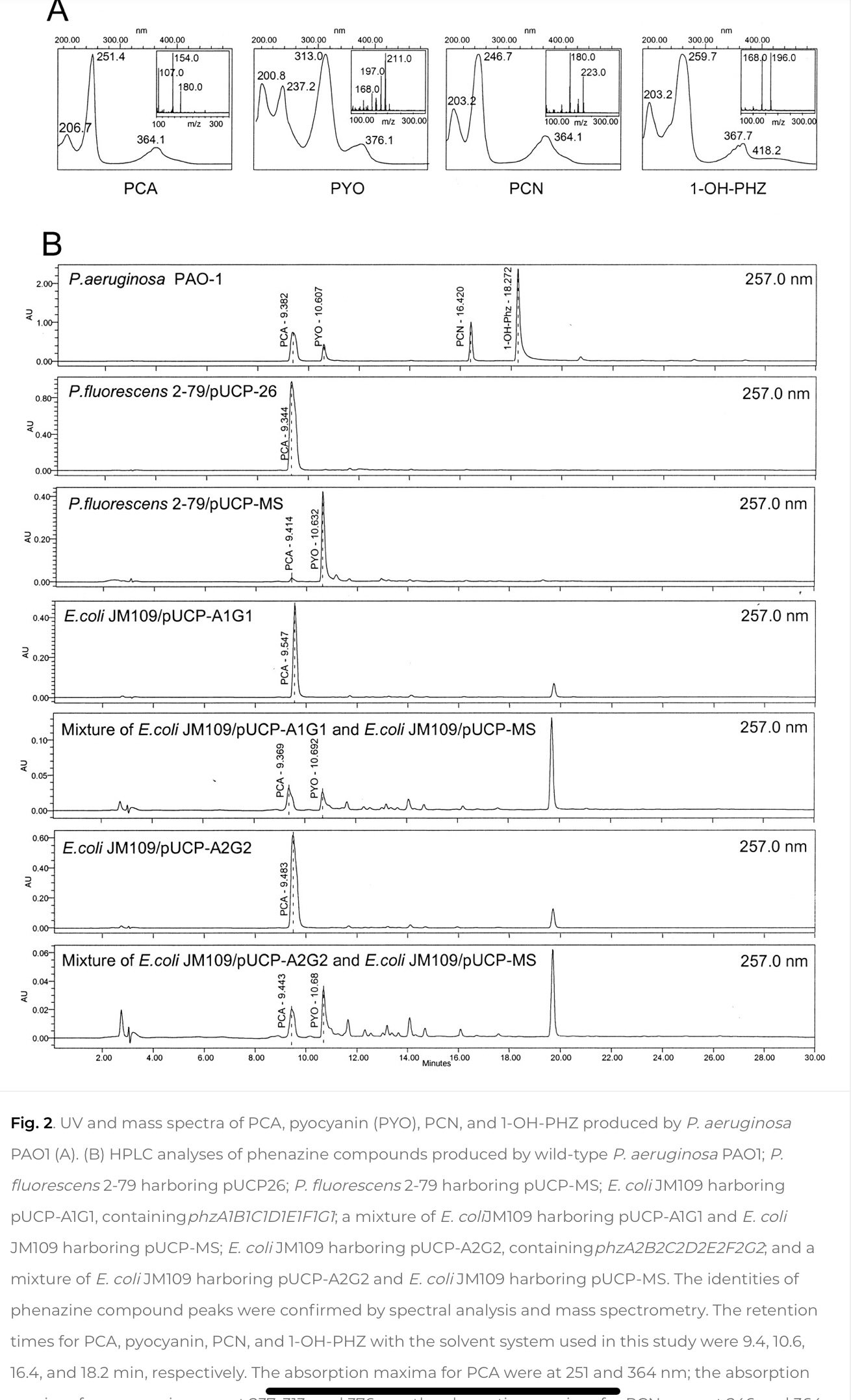 Solved Please explain in detail what’s happening in this | Chegg.com