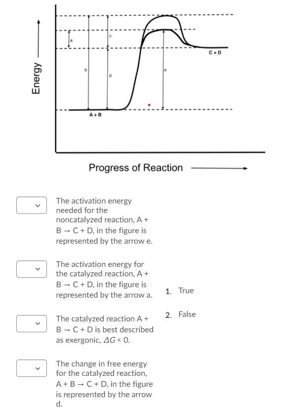 Solved C D Energy A+B Progress of Reaction The activation | Chegg.com