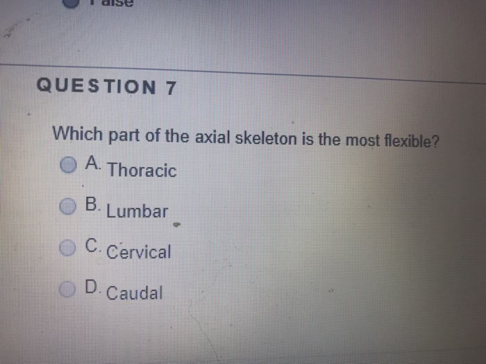 Solved Path P Question 4 Which Of The Following Is 