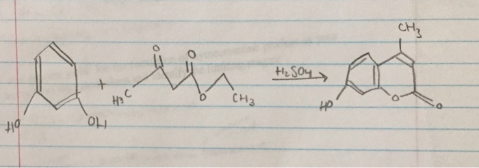 Solved Why would alkylation occur at the 2-position of the | Chegg.com
