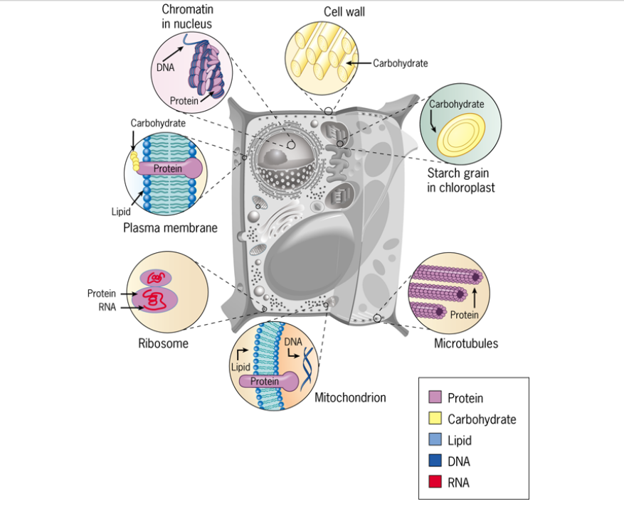 Solved Refer to Figure 2.12 in your textbook. (6 | Chegg.com