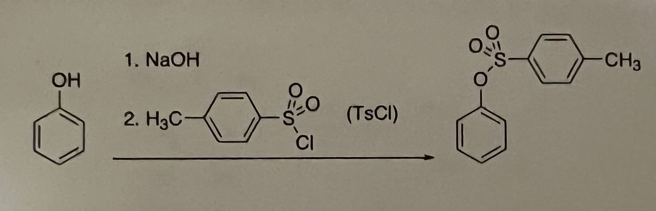 Solved I performed an experiment, the starting material is | Chegg.com