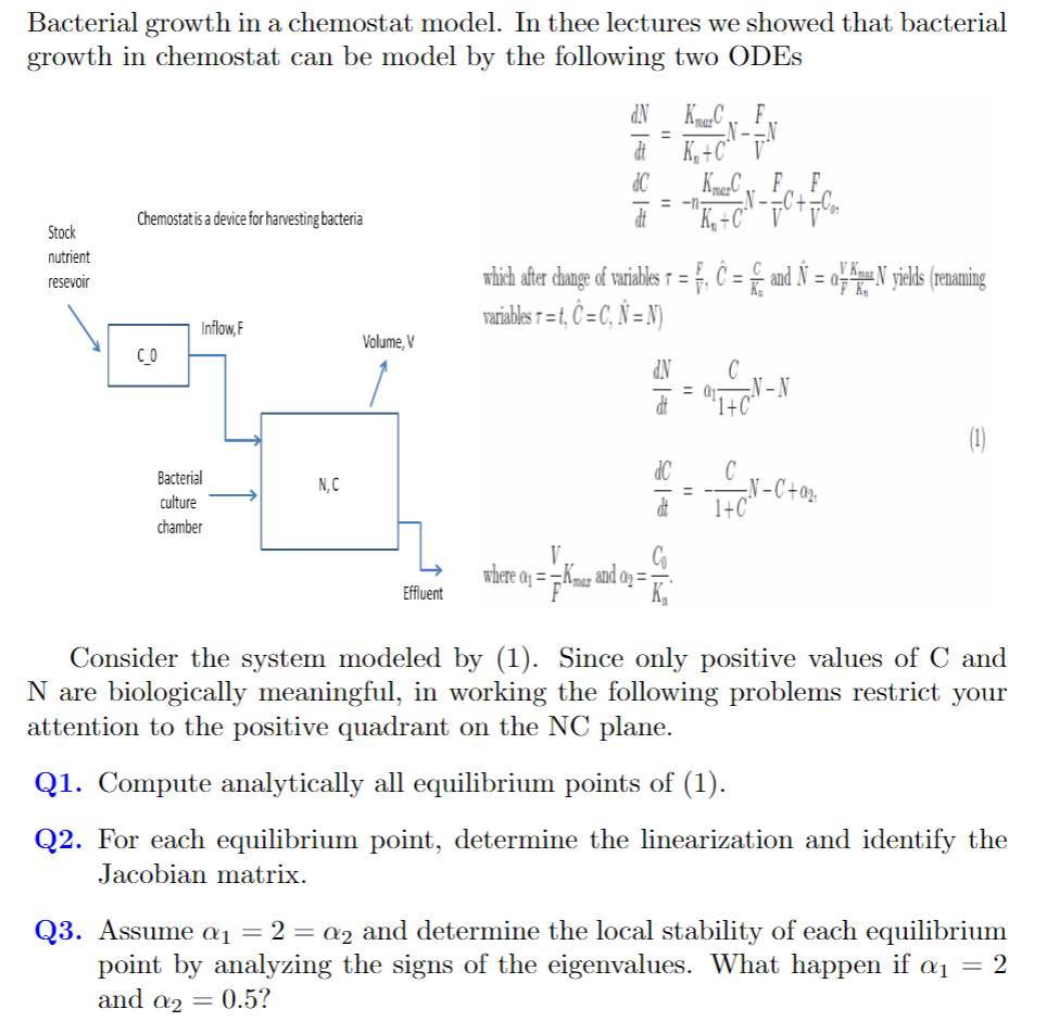 Solved Bacterial growth in a chemostat model. In thee | Chegg.com