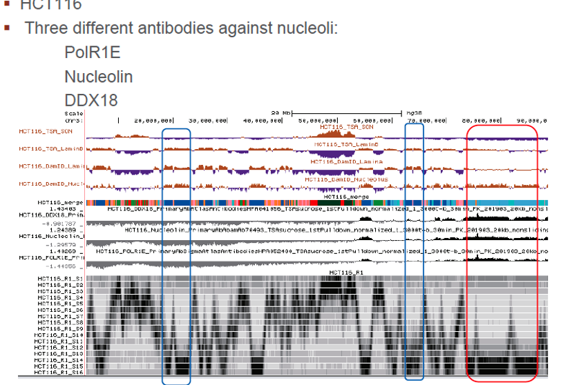 Solved DamID is a molecular proximity measurement- it | Chegg.com