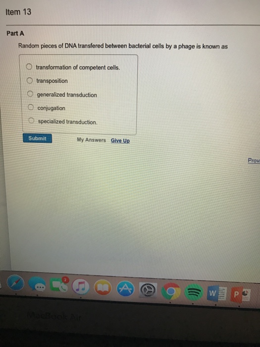 Solved Random pieces of DNA transferred between bacterial | Chegg.com