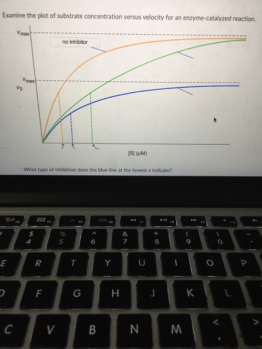 Solved Examine the plot of substrate concentration versus | Chegg.com