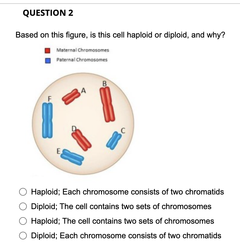 Solved Which of the following homologous pairs are matched | Chegg.com