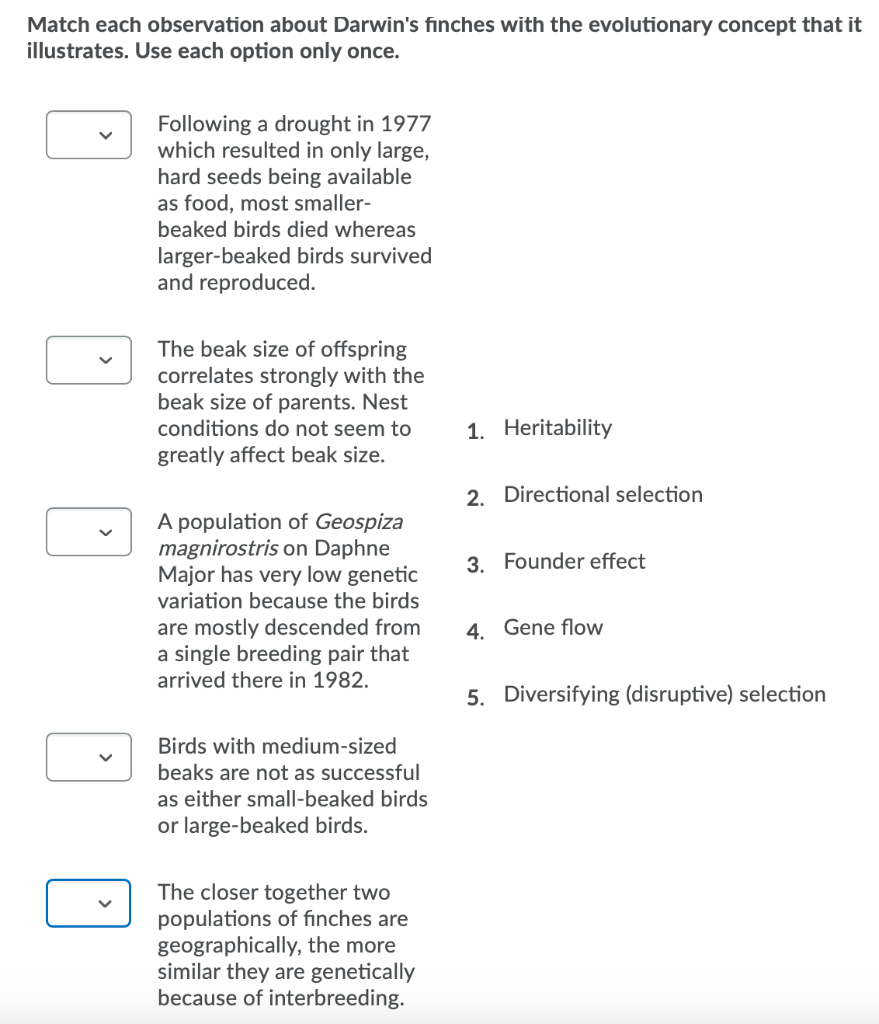 Solved Match each observation about Darwin's finches with | Chegg.com