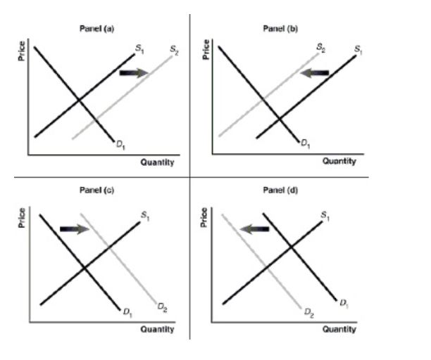 Solved Assume that the following four graphs represent the | Chegg.com
