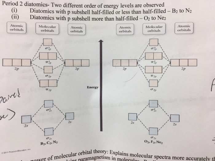 Solved Explain the differences in energies for B2, C2, and | Chegg.com