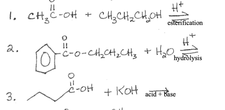 Solved CH3CII−OH+CH3CH2CH2OH esˇerification H+ | Chegg.com