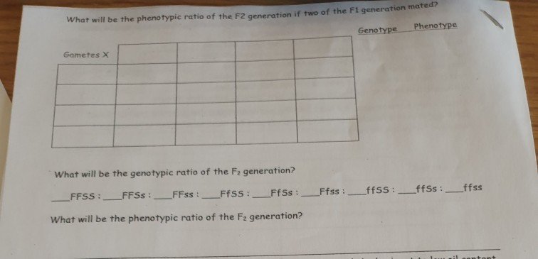 Solved What will be the phenotypic ratio of the F2 | Chegg.com