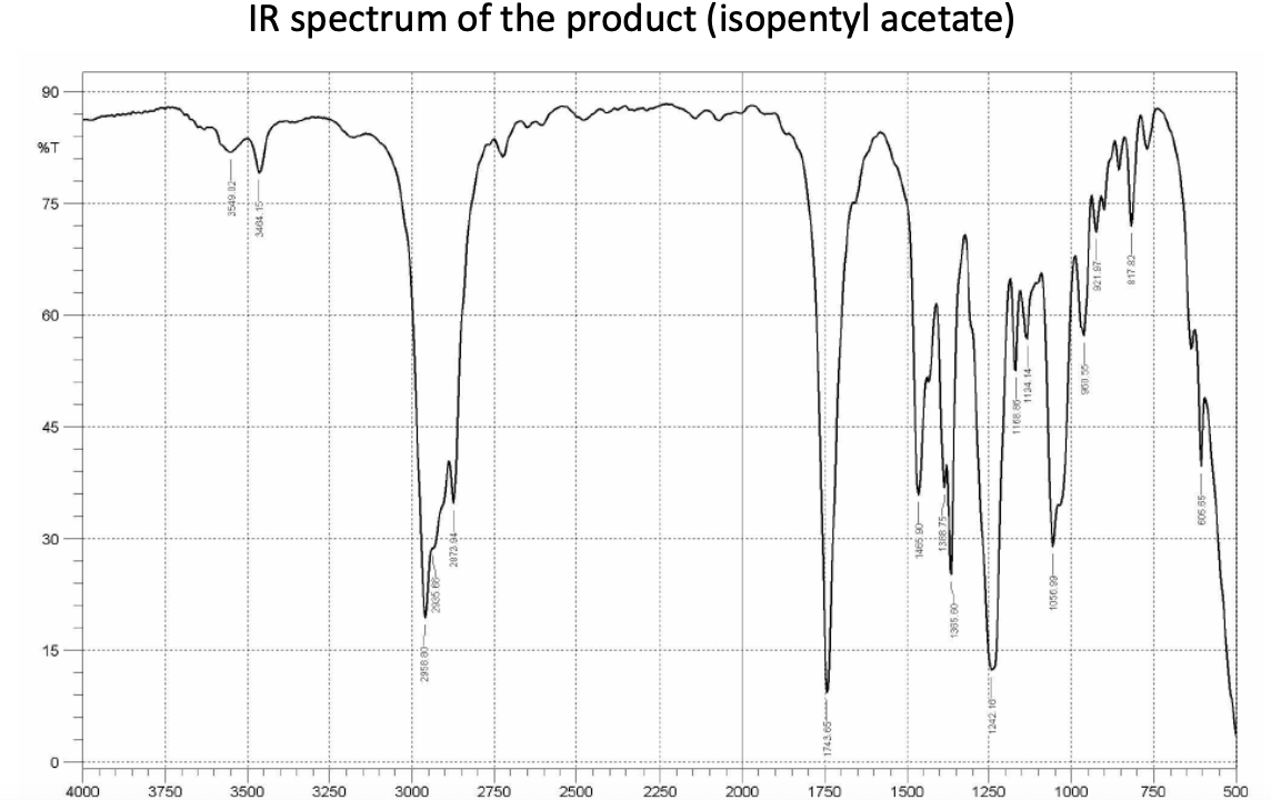 Solved Fischer Esterification Please help to identify all | Chegg.com