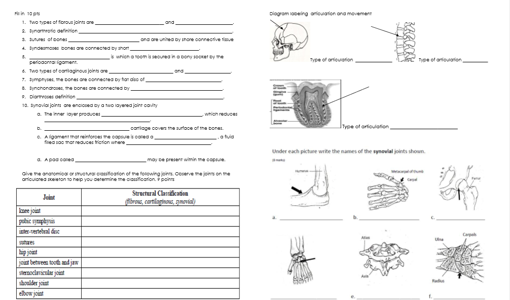 Solved Fill in 10 pts Diagram labeling articulation and | Chegg.com