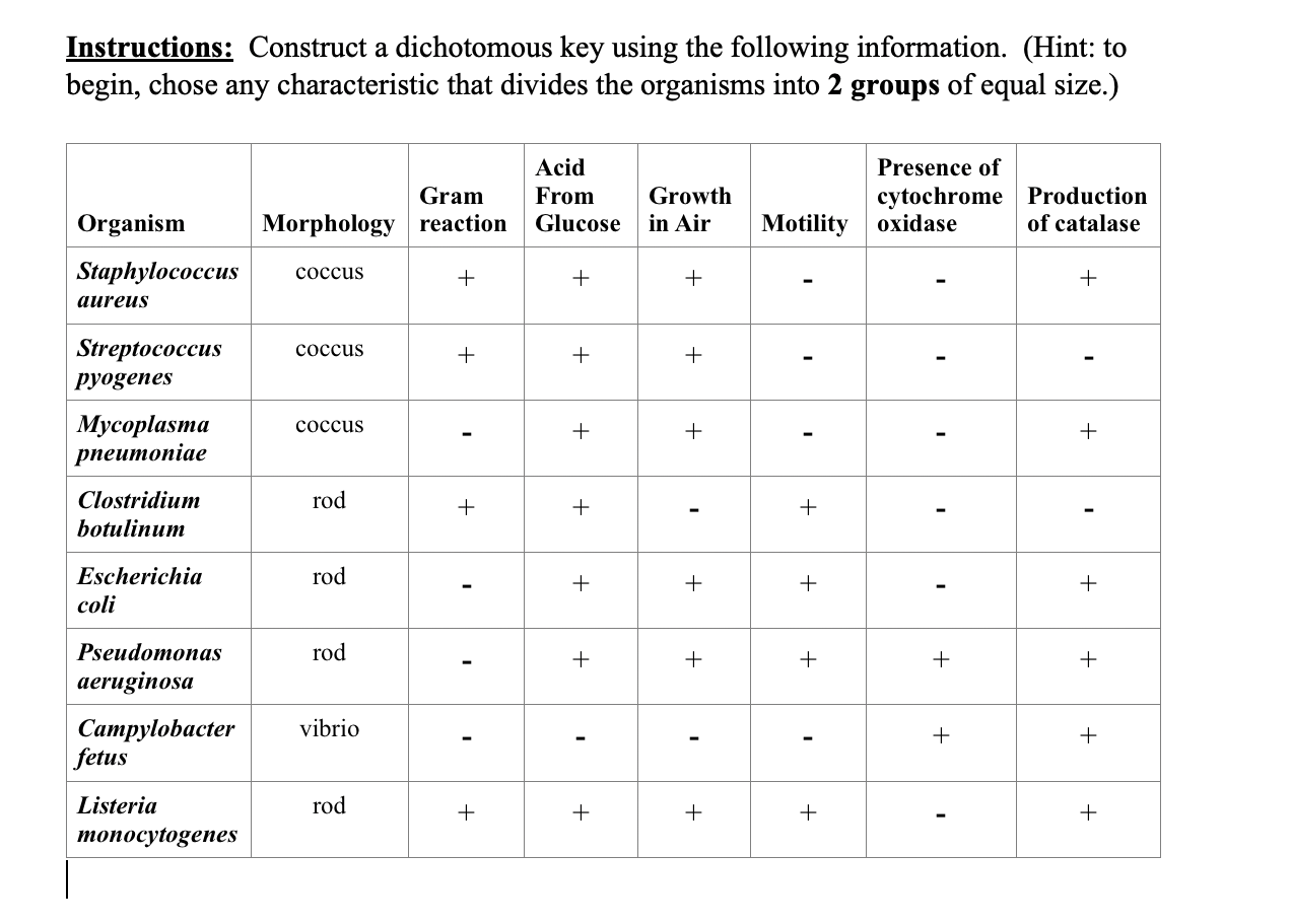 Solved Instructions: Construct a dichotomous key using the | Chegg.com