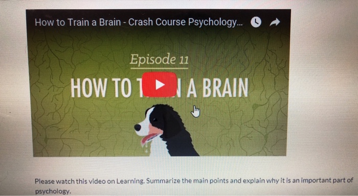 Solved How to Train a Brain - Crash Course Psychology... | Chegg.com