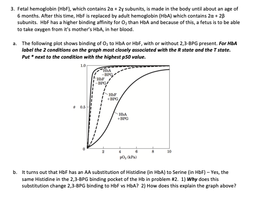 3. Fetal hemoglobin (HbF), which contains 2a + 2y | Chegg.com