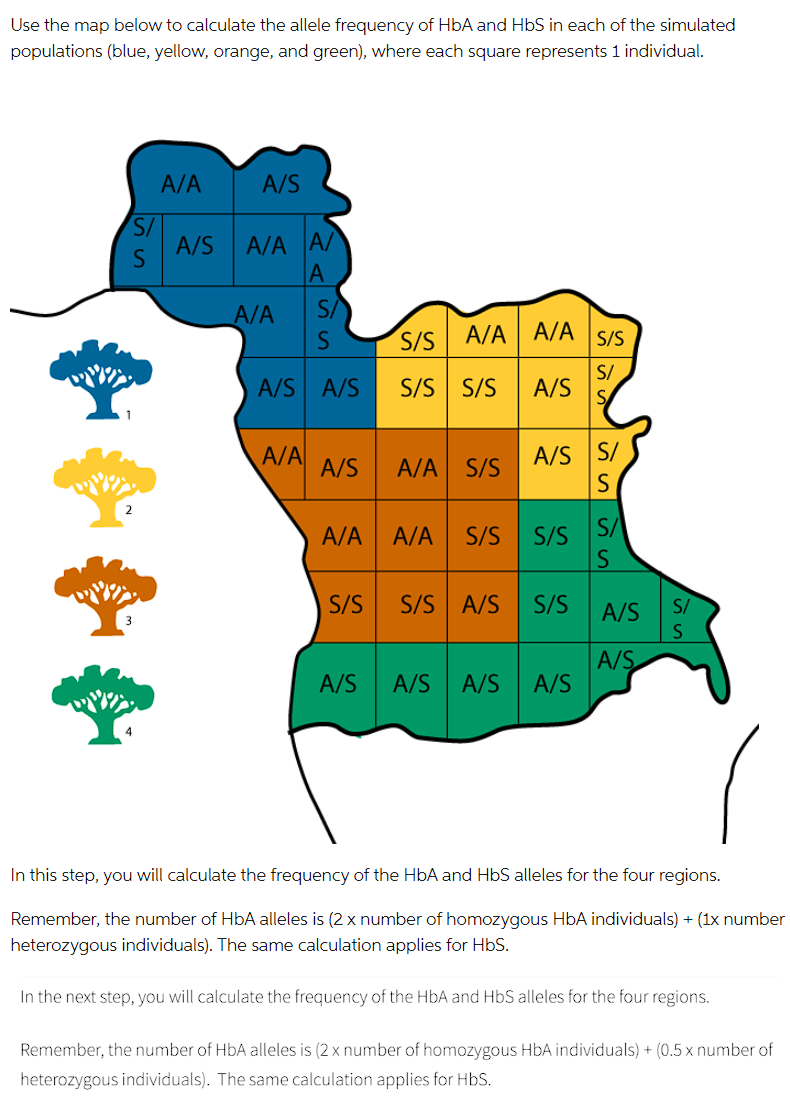 Solved Use the map below to calculate the allele frequency | Chegg.com