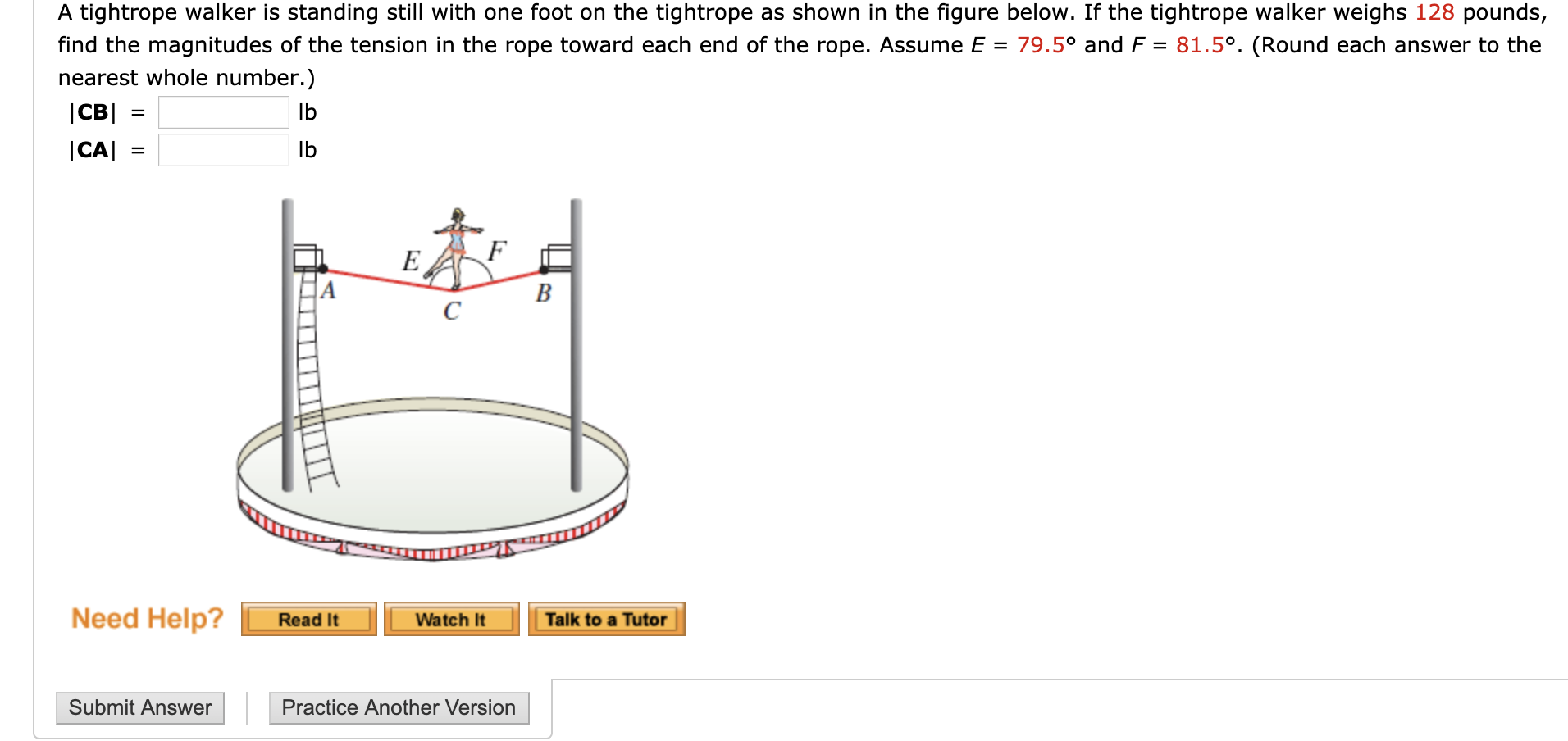 Solved A tightrope walker is standing still with one foot on | Chegg.com