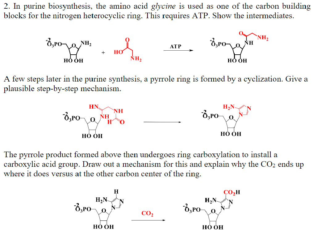 Solved 2. In purine biosynthesis, the amino acid glycine is | Chegg.com