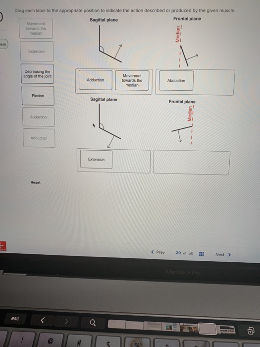 Solved Drag each label to the appropriate position to | Chegg.com