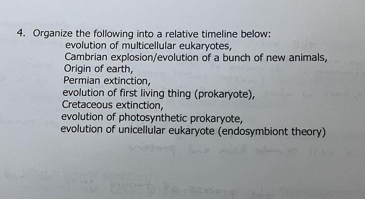 Solved 4. Organize the following into a relative timeline | Chegg.com