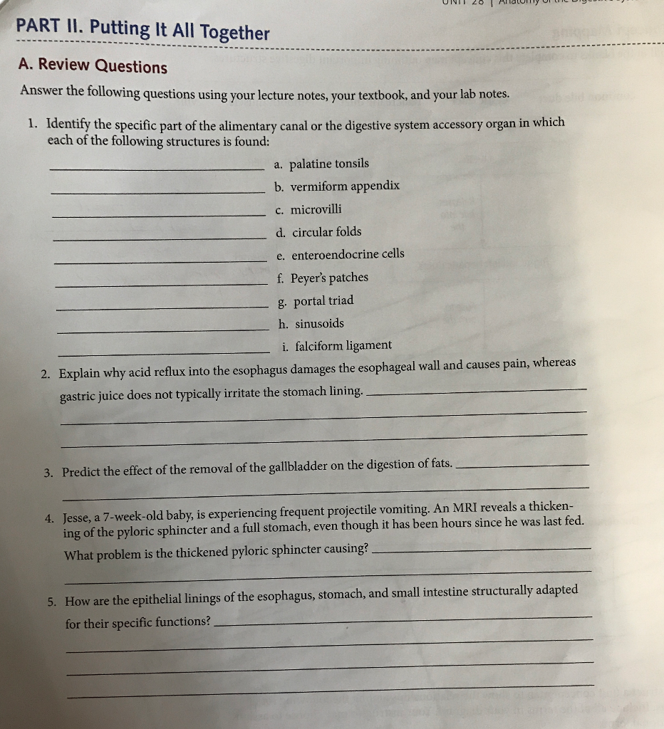 Solved PART II. Putting It All Together A. Review Questions | Chegg.com