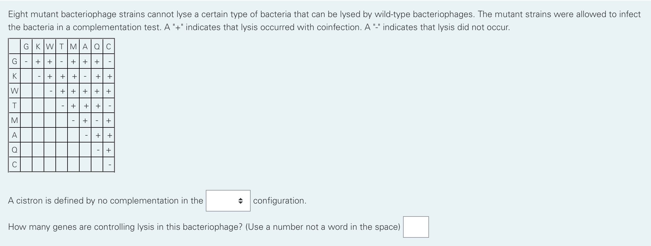 Solved Eight mutant bacteriophage strains cannot lyse a | Chegg.com