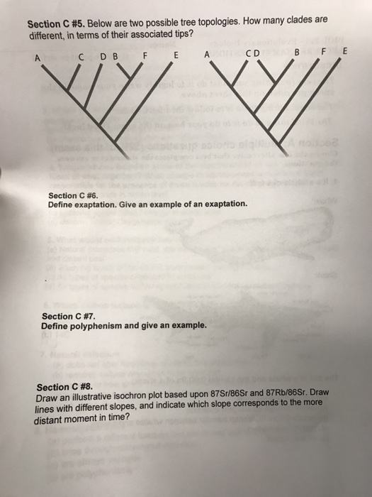 Biology Archive | February 23, 2017 | Chegg.com