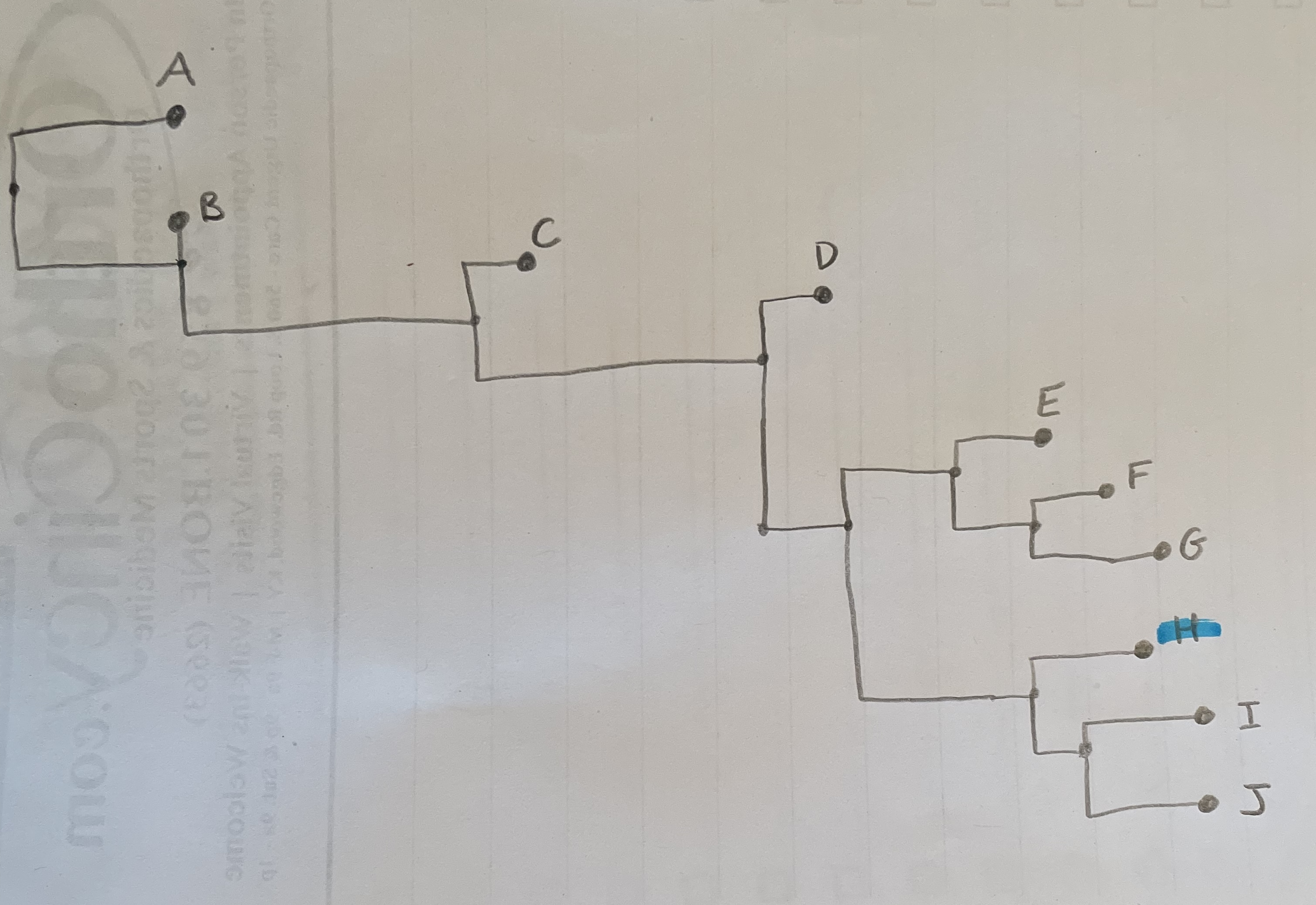 Solved The species (or several species) that are most | Chegg.com