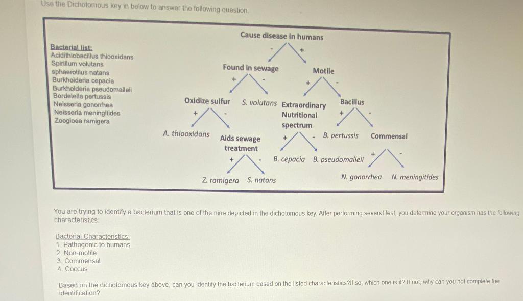 [Solved]: Use the Dichotomous key in below to answer the f