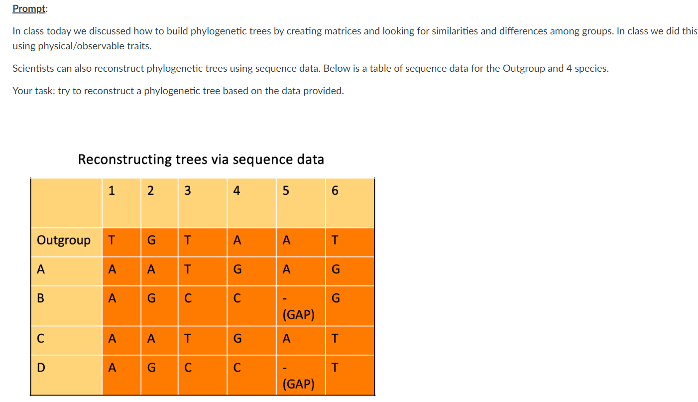 Solved What to do:Try to reconstruct the phylogenetic tree. | Chegg.com
