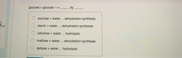 Solved glucose+glucoseby sucrose + water... dehydration | Chegg.com