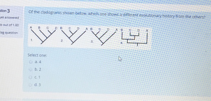 Solved of the cladograms shown below, which one shows a | Chegg.com
