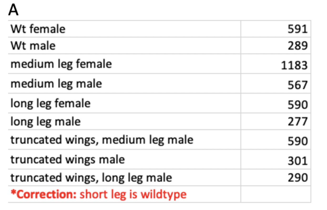 Solved Data set A summarizes F2 numbers from an F1 cross | Chegg.com