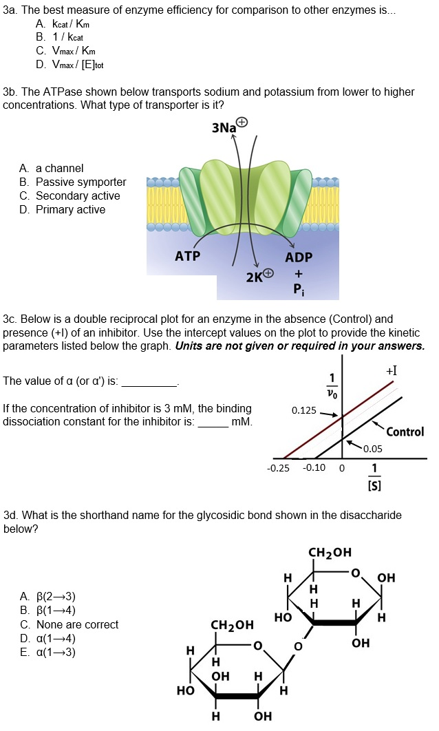 Solved 3a. The best measure of enzyme efficiency for | Chegg.com