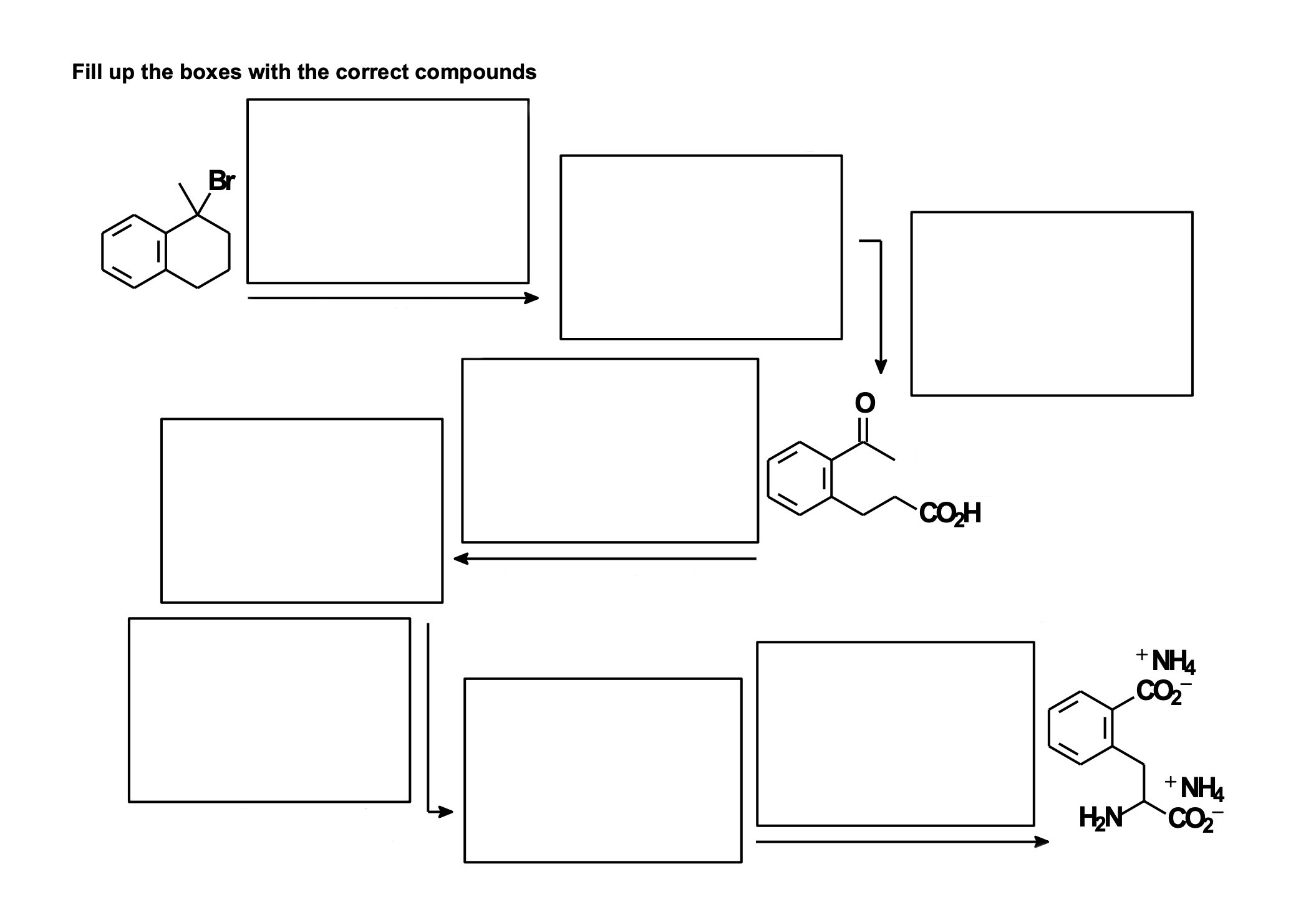 Solved Fill up the boxes with the correct compounds: | Chegg.com Solved Fill up the boxes with the correct compounds: | Chegg.com
