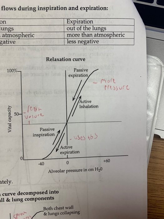 Solved 2.4 Draw the relaxation curve, labeling the axes. | Chegg.com