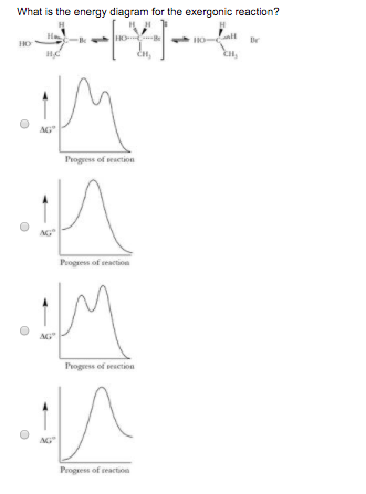 Solved What is the energy diagram for the exergonic | Chegg.com