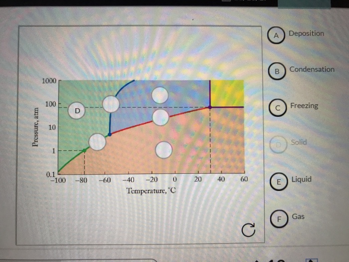 Place The Correct Labels On The Appropriate Area Of The Phase Diagram ...