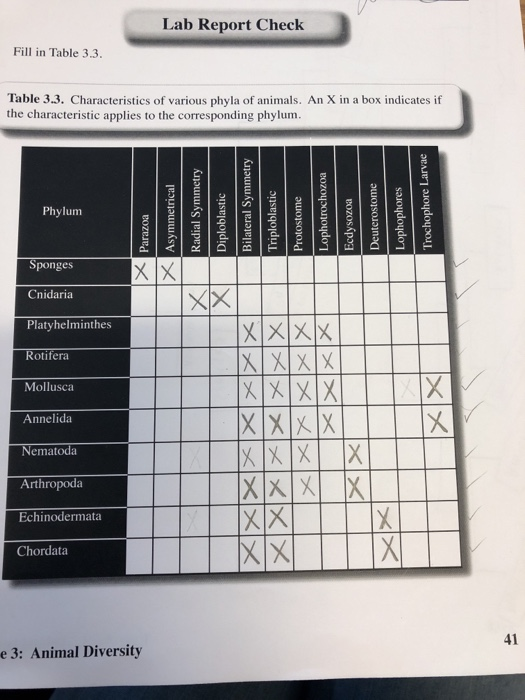 Exercise 3: Animal Diversity Learning Goals Know and | Chegg.com