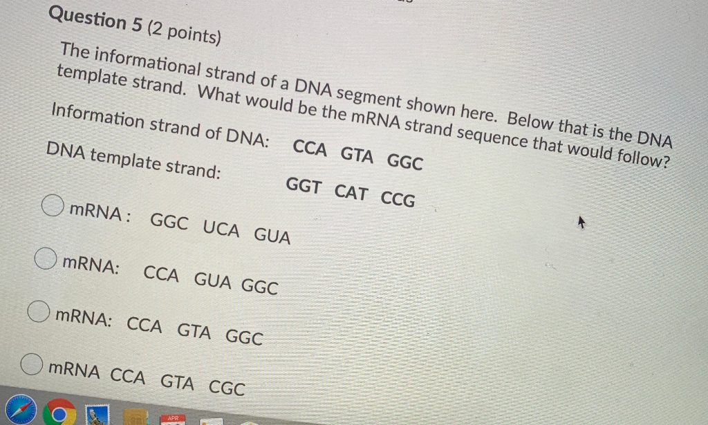 Solved Question 5 (2 points) The informational strand of a | Chegg.com