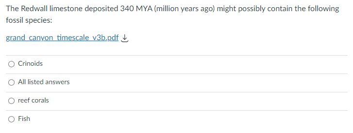 Solved Geologic Timeline of the Grand CanyonBased on the | Chegg.com