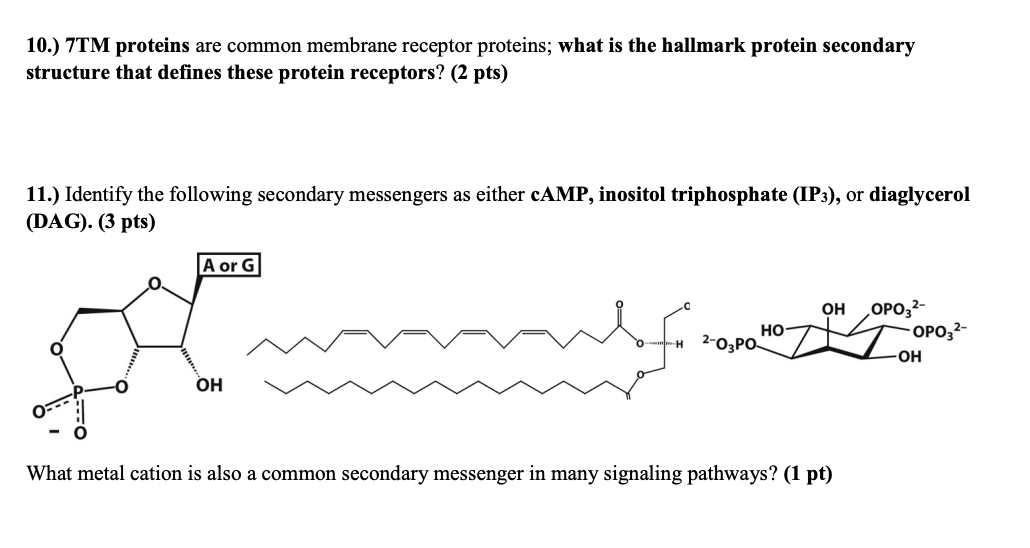 Solved 10.) 7TM proteins are common membrane receptor | Chegg.com