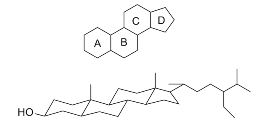 Solved The structure given below represents a steroid. The | Chegg.com