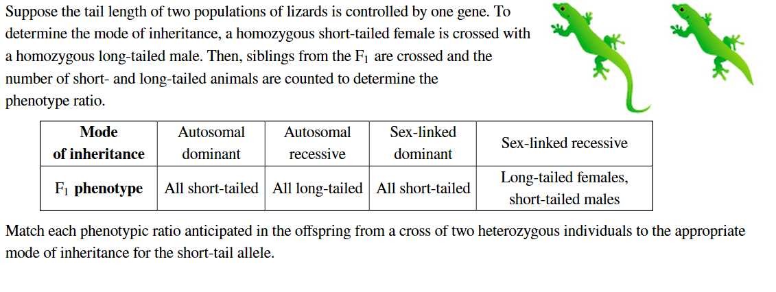 Solved Suppose the tail length of two populations of lizards | Chegg.com
