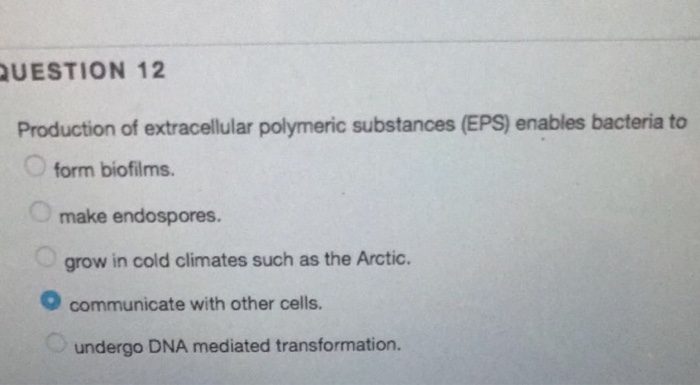 Solved Production of extracellular polymeric substances | Chegg.com