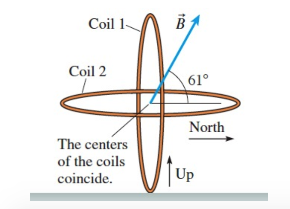 Solved Young domestic chickens have the ability to orient | Chegg.com
