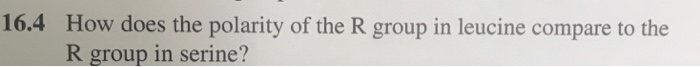 Solved How does the polarity of the R group in leucine | Chegg.com