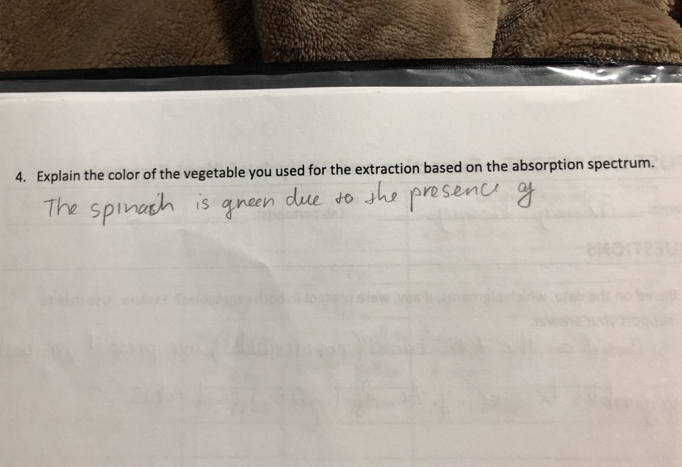 Solved 4. Explain the color of the vegetable you used for | Chegg.com